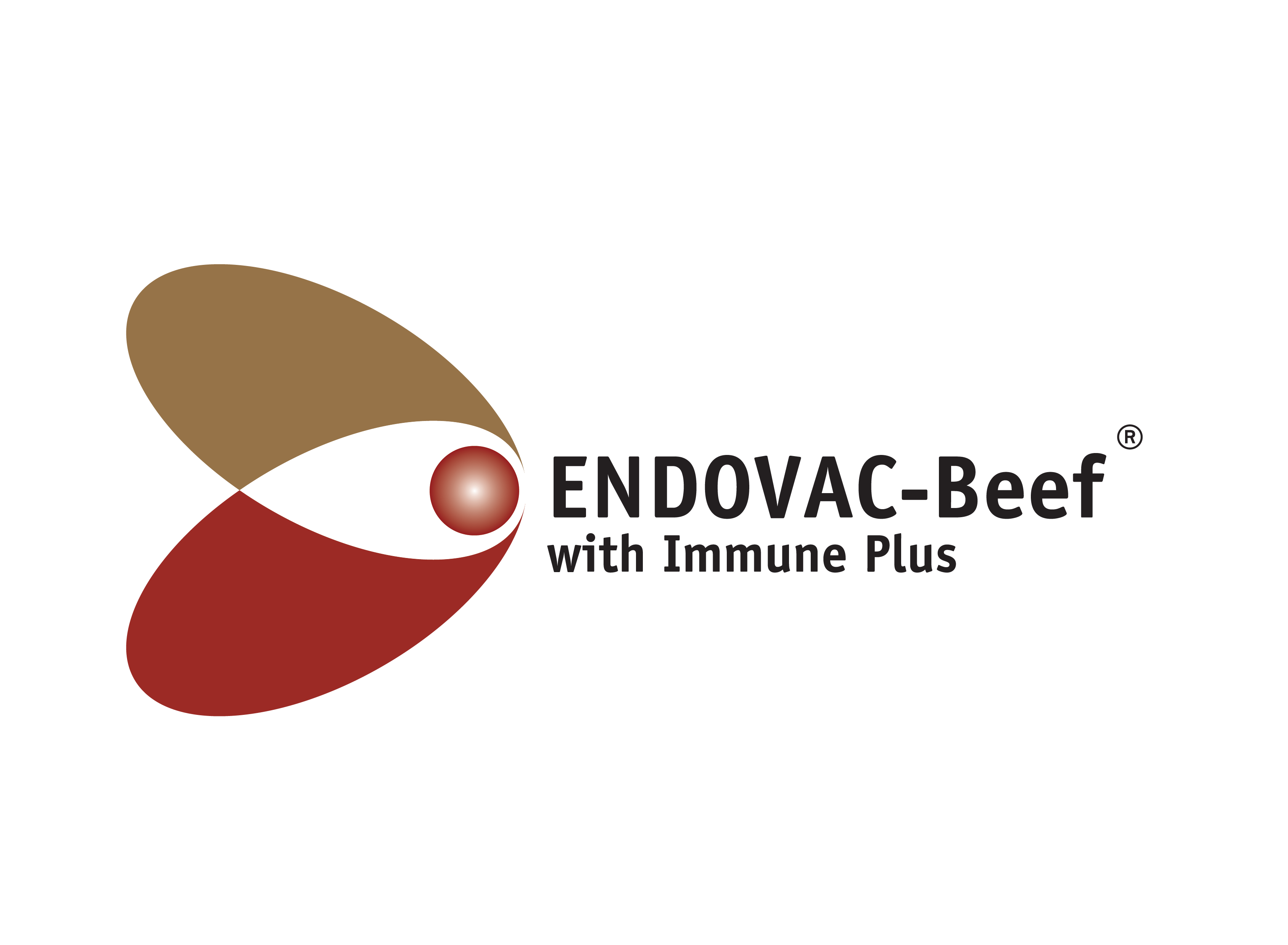 ENDOVAC-Beef® with Immune Plus Cattle Vaccine - Endovac Animal Health