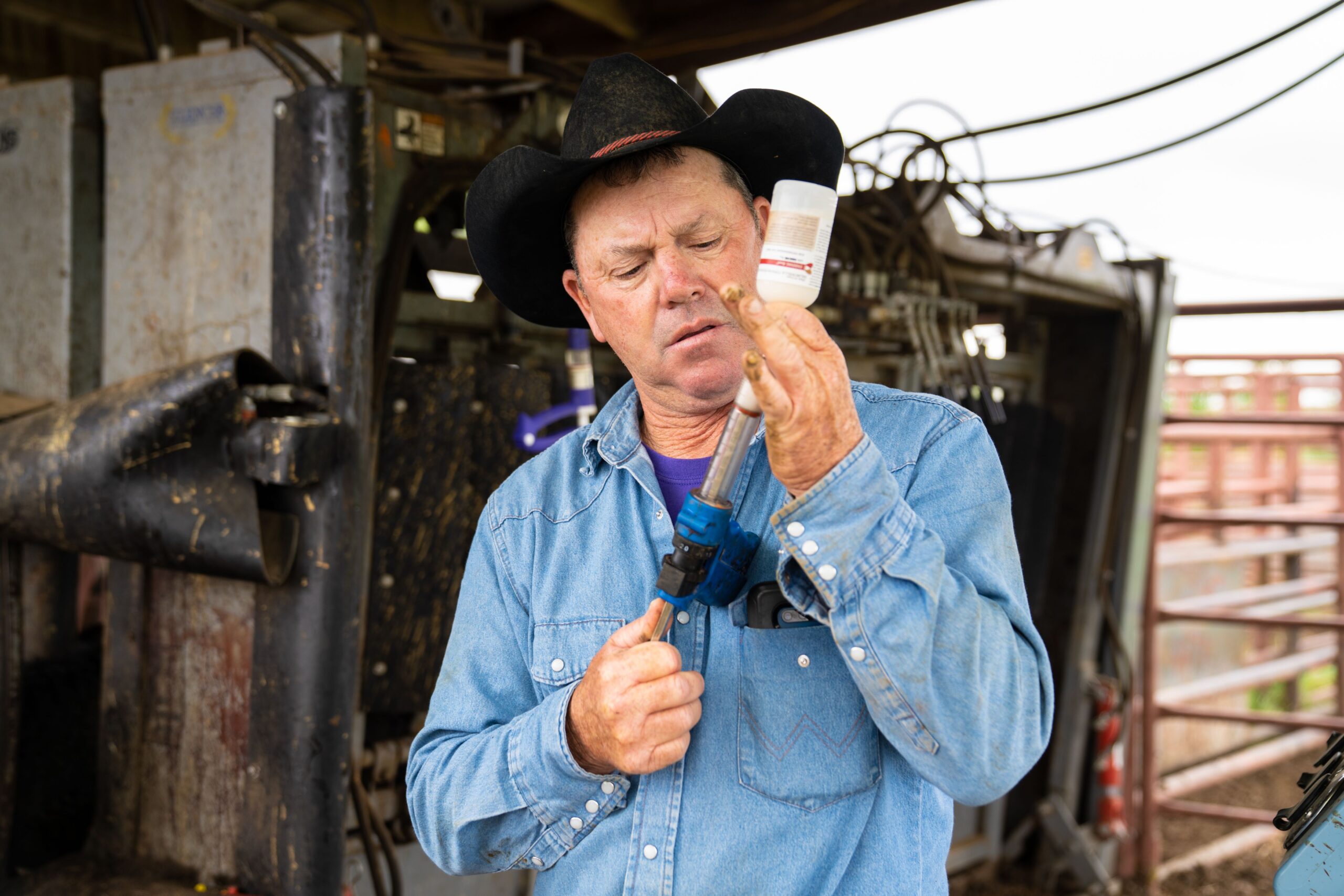 ENDOVAC-Beef® with Immune Plus Cattle Vaccine - Endovac Animal Health