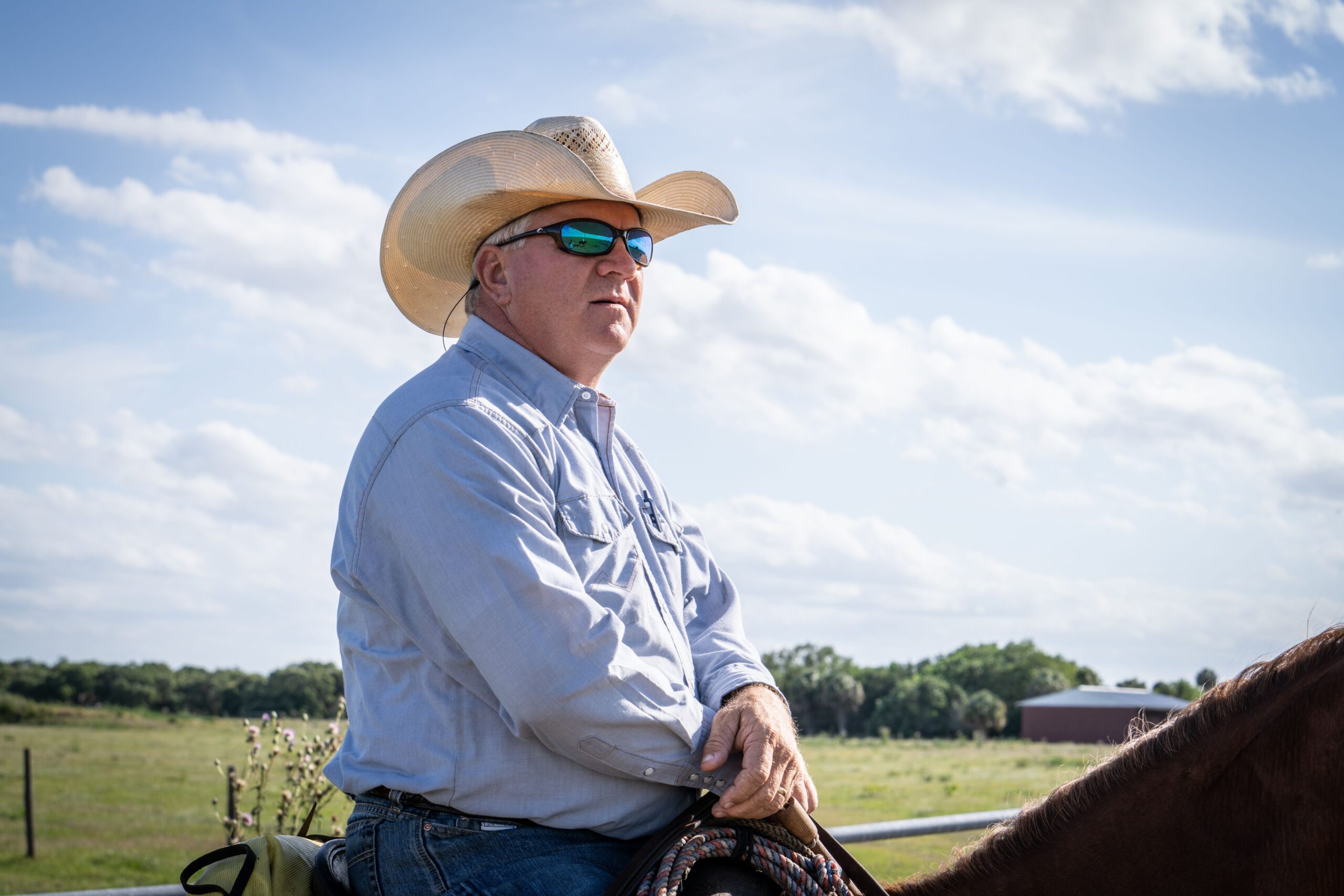 ENDOVAC-Beef® with Immune Plus Cattle Vaccine - Endovac Animal Health